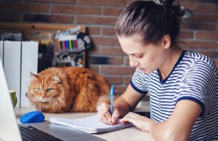 12 Home Office Cyber Security Tips