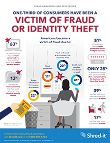 Identity Thief Poster