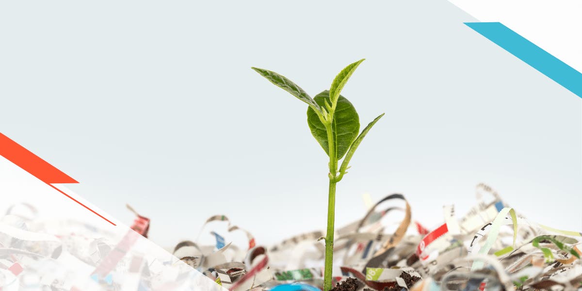 Sustainable Data Security: Balancing Data Safety with Environmental Impact